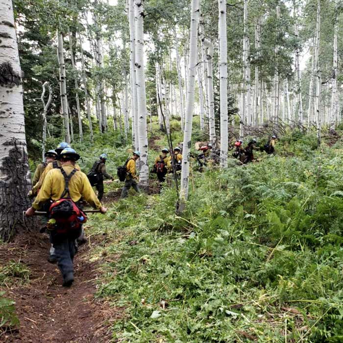 goTenna | The World’s Leading Mobile Mesh Networking Company